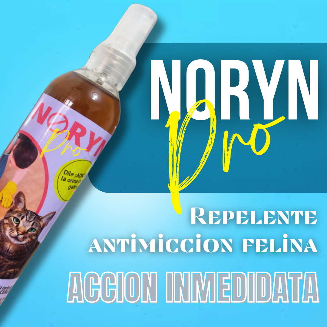 NORYN PRO ANTIMICCION | Solución inmediata (MEGA-OFERTA)⭐⭐⭐⭐⭐ – Stefshop