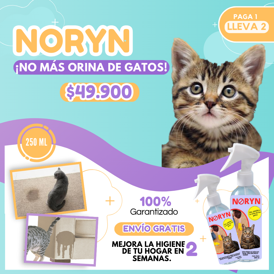 NORYN ANTIMICCION | Solución inmediata (Pague 1 lleve 2)⭐⭐⭐⭐⭐ – Stefshop