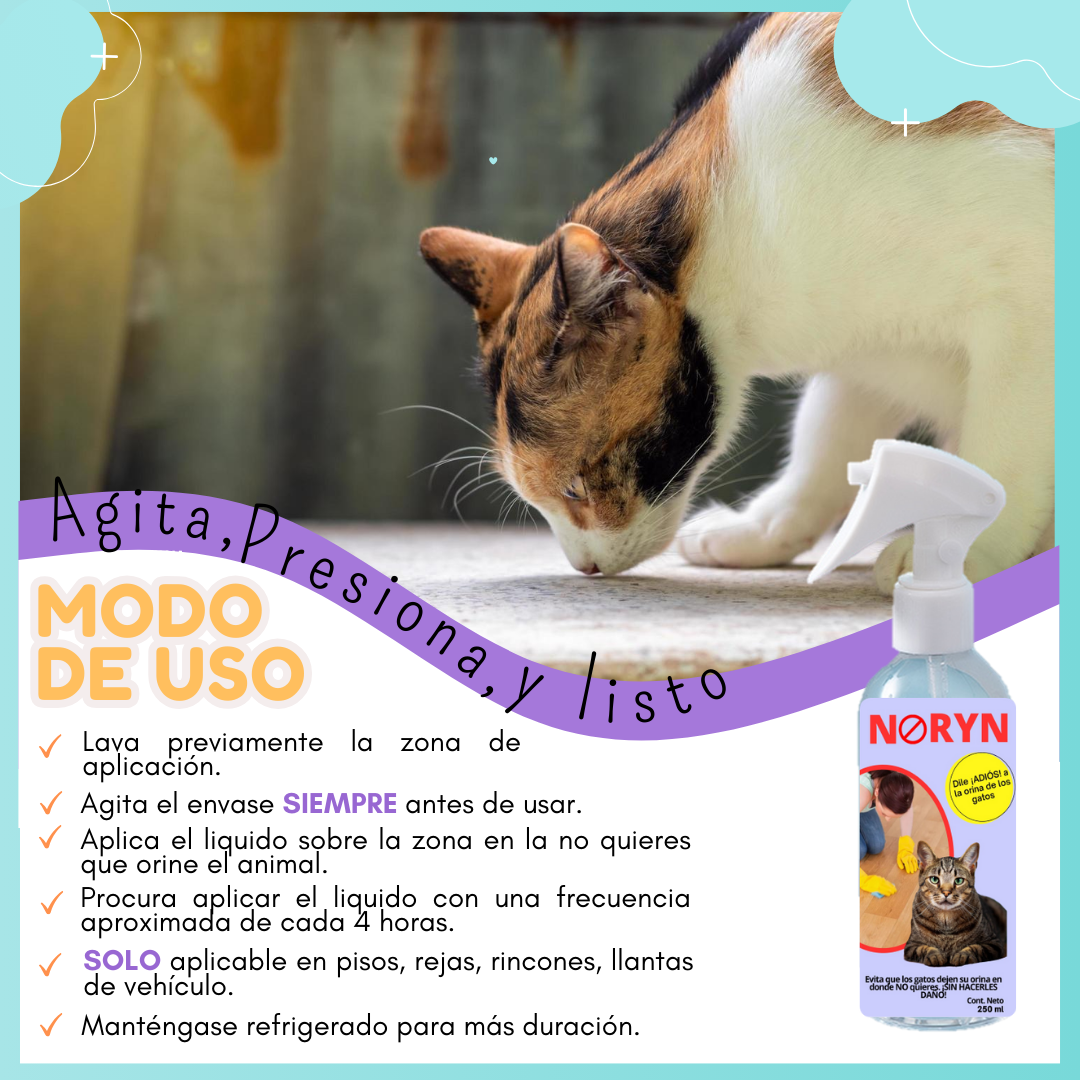 Noryn (2x1) – Stefshop